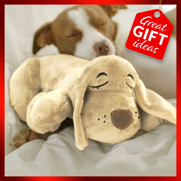 JML | Buy JML Products Online | JMLdirect, Everyday Easier